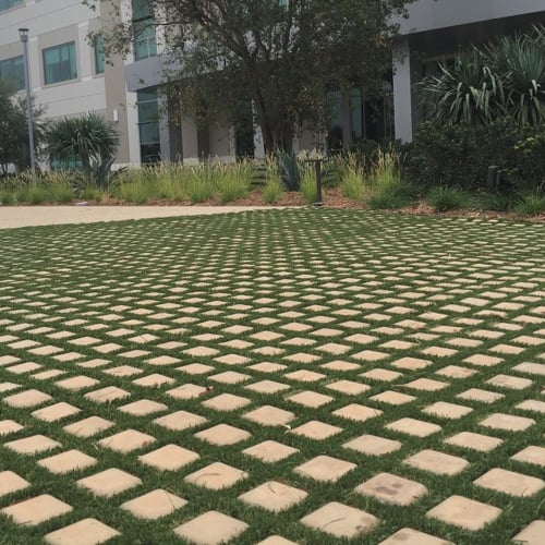 Drivable Grass® Permeable Flexible And Plantable Concrete Pavement System Caddetails